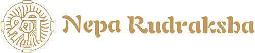 Nepa Rudraksha: Authentic Nepali Rudraksha Now More Accessible to ...